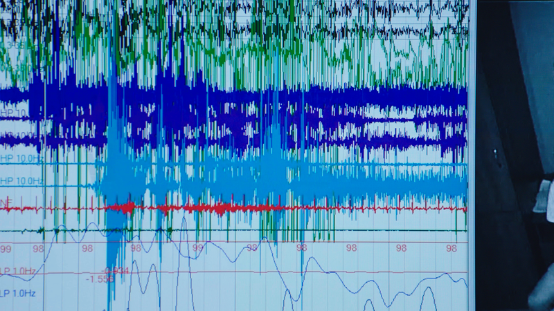 Sleepwalking: What Happens in the Brain? | NOVA | PBS