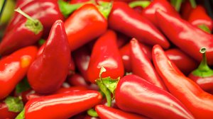 From jumping horses to jalapeños: the science of spicy peppers | NOVA | PBS