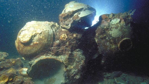 Ship That Changed the World | NOVA | PBS