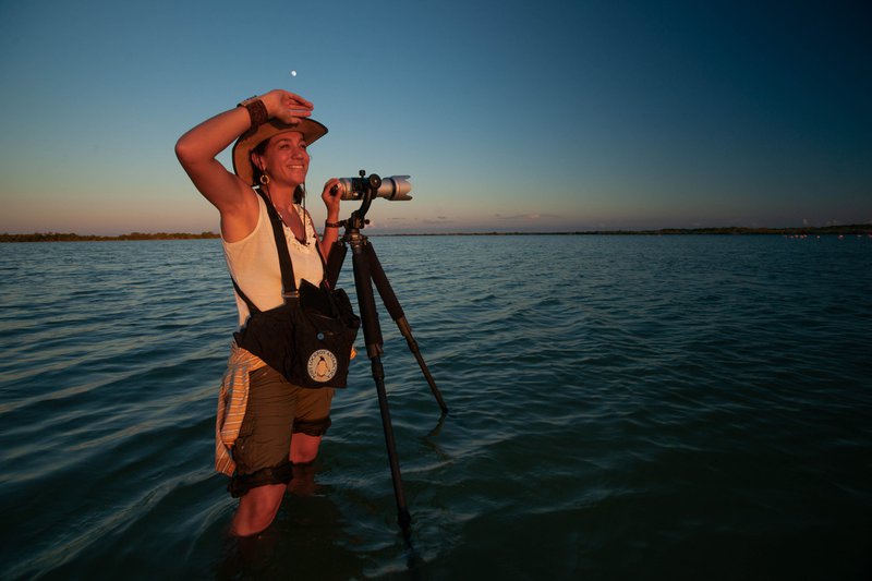 Picture a Scientist | NOVA | PBS