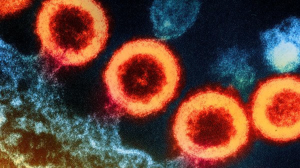 How the enigma works | NOVA | PBS