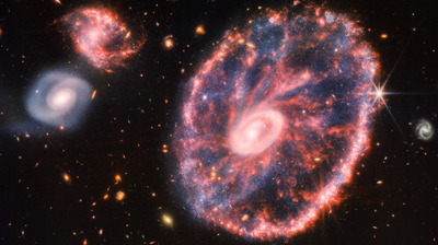 NOVA’s most popular science documentaries of 2022 | NOVA | PBS