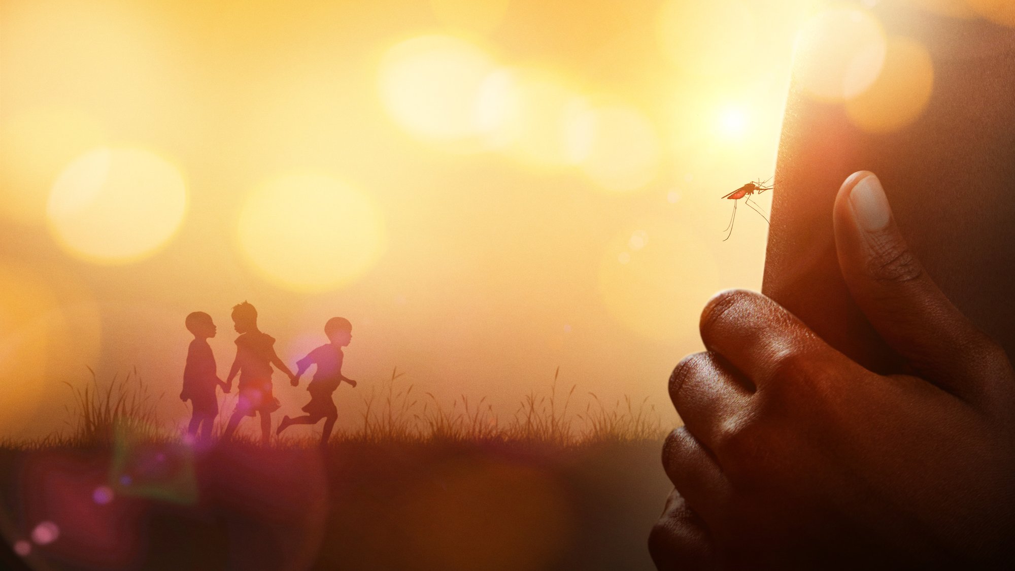 Critical Condition: Health in Black America | NOVA | PBS