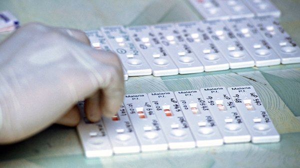 Malaria is outsmarting blood tests. Can a breath test help? | NOVA | PBS