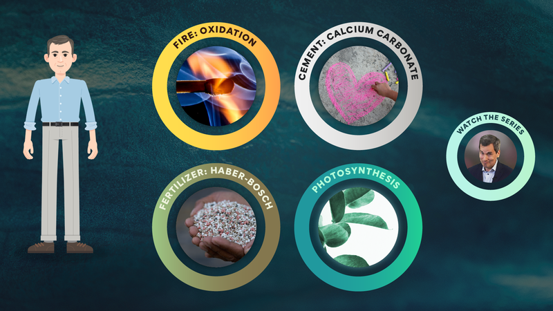 Interactives | NOVA | PBS