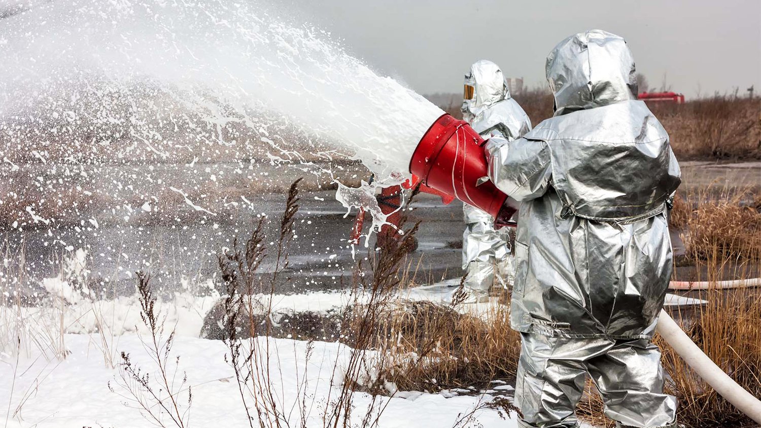 Toxic synthetic 'forever chemicals' are in our water and on our plates ...