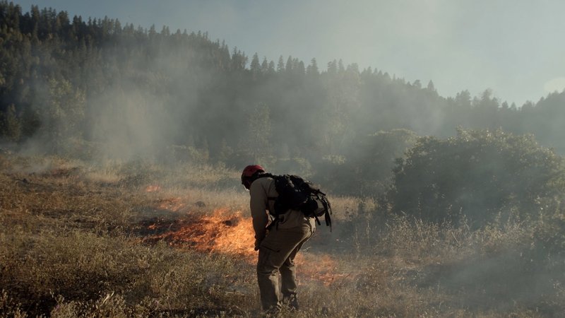 How to create local climate change projects with your students | NOVA | PBS