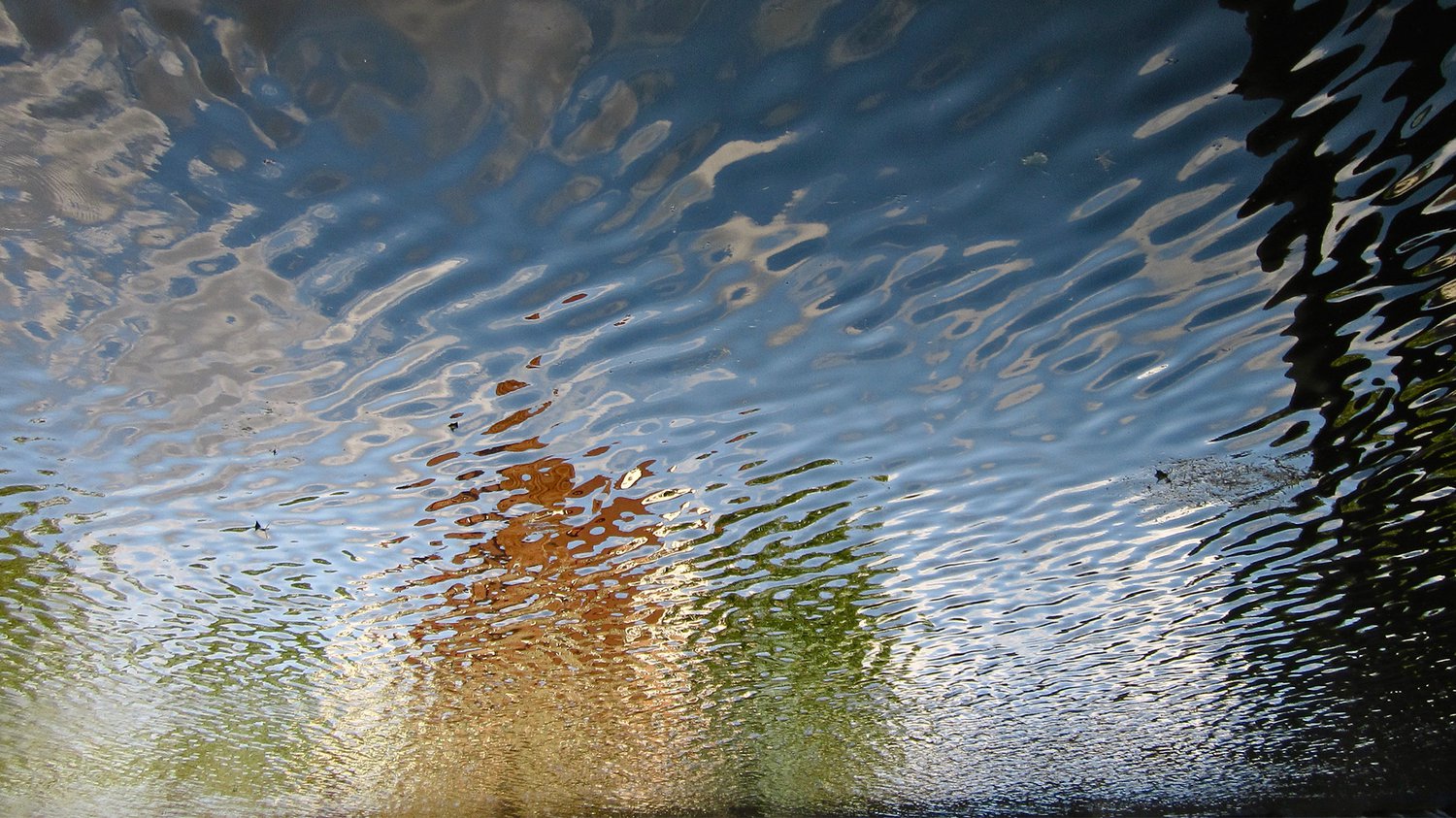 Describing Nature With Math | NOVA | PBS