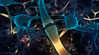 Join the cannabis conversation with NOVA | NOVA | PBS