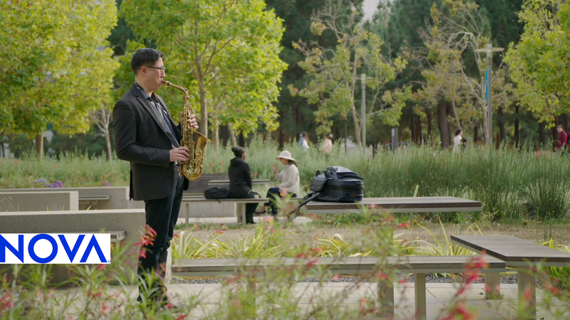 Body & Brain | Articles, Videos, & Interactives | NOVA | PBS