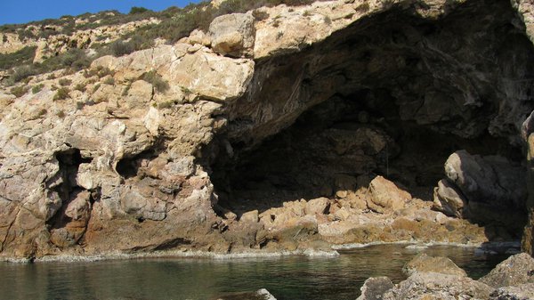 Reconstructed Rib Cage Offers Clues to How Neanderthals Breathed and ...