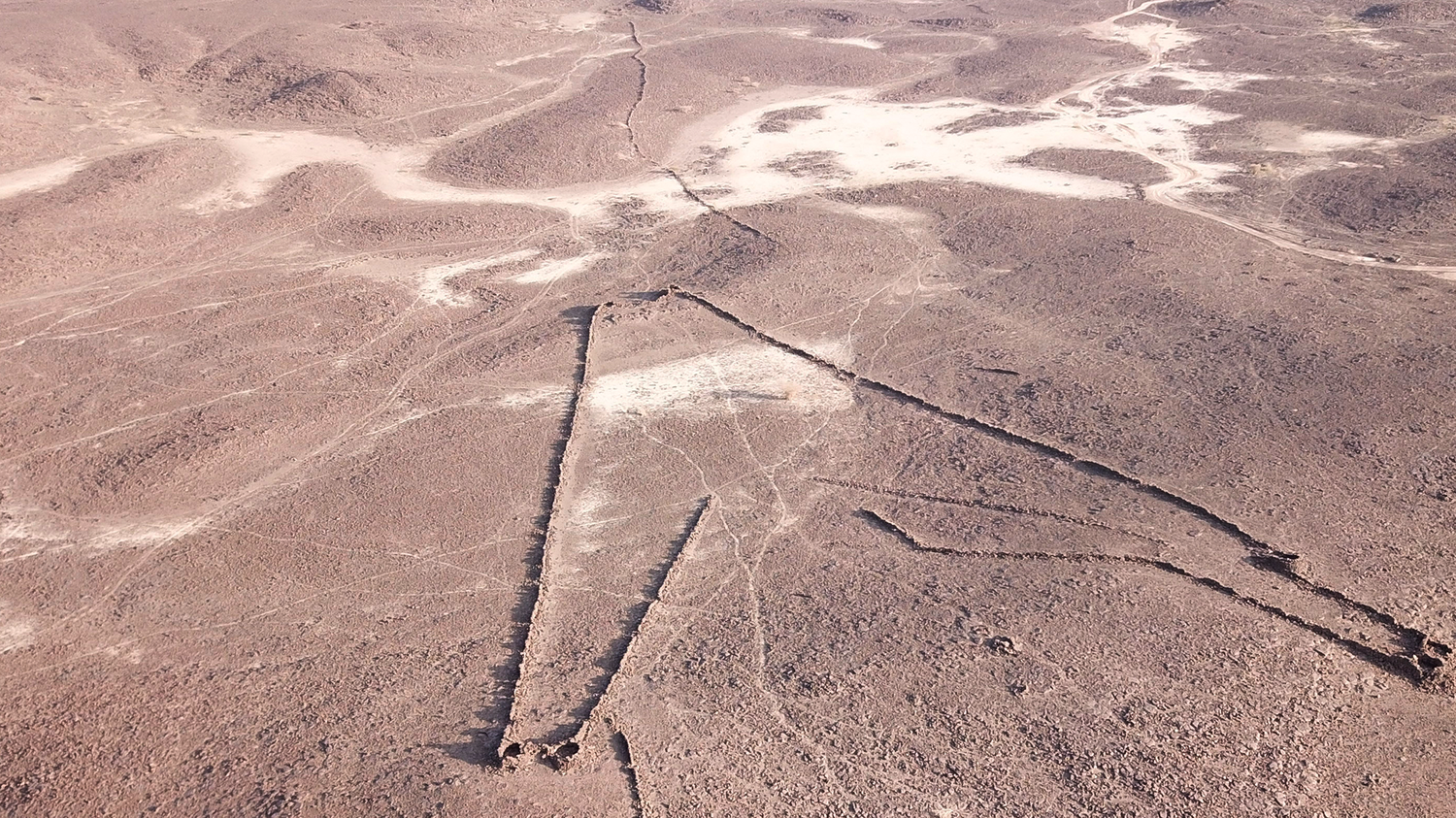 Angkor: Hidden Jungle Empire | NOVA | PBS