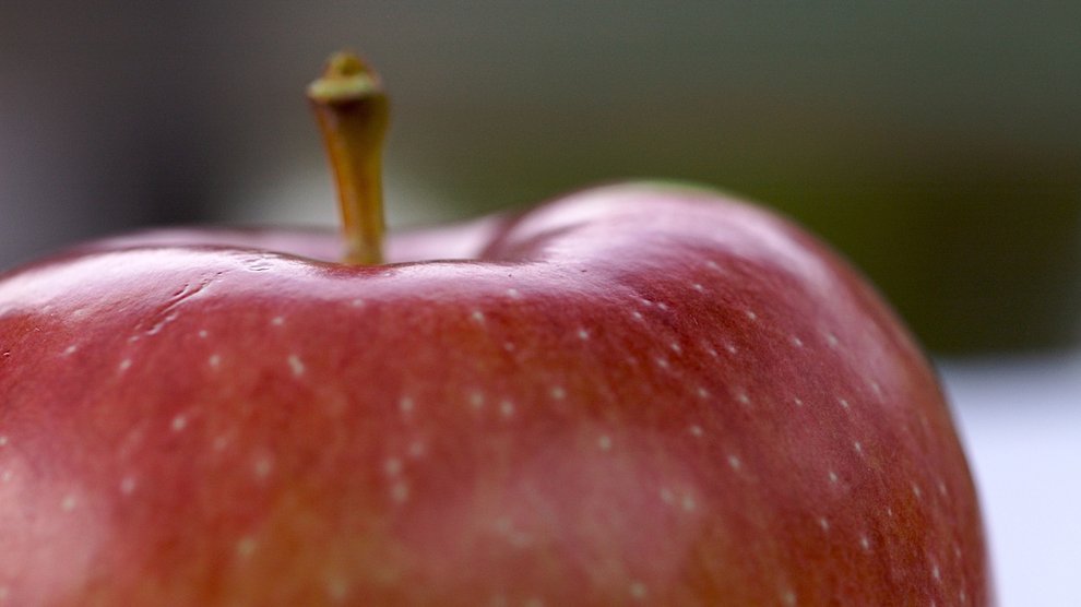 Climate Change Is Making Apples Soft | NOVA | PBS