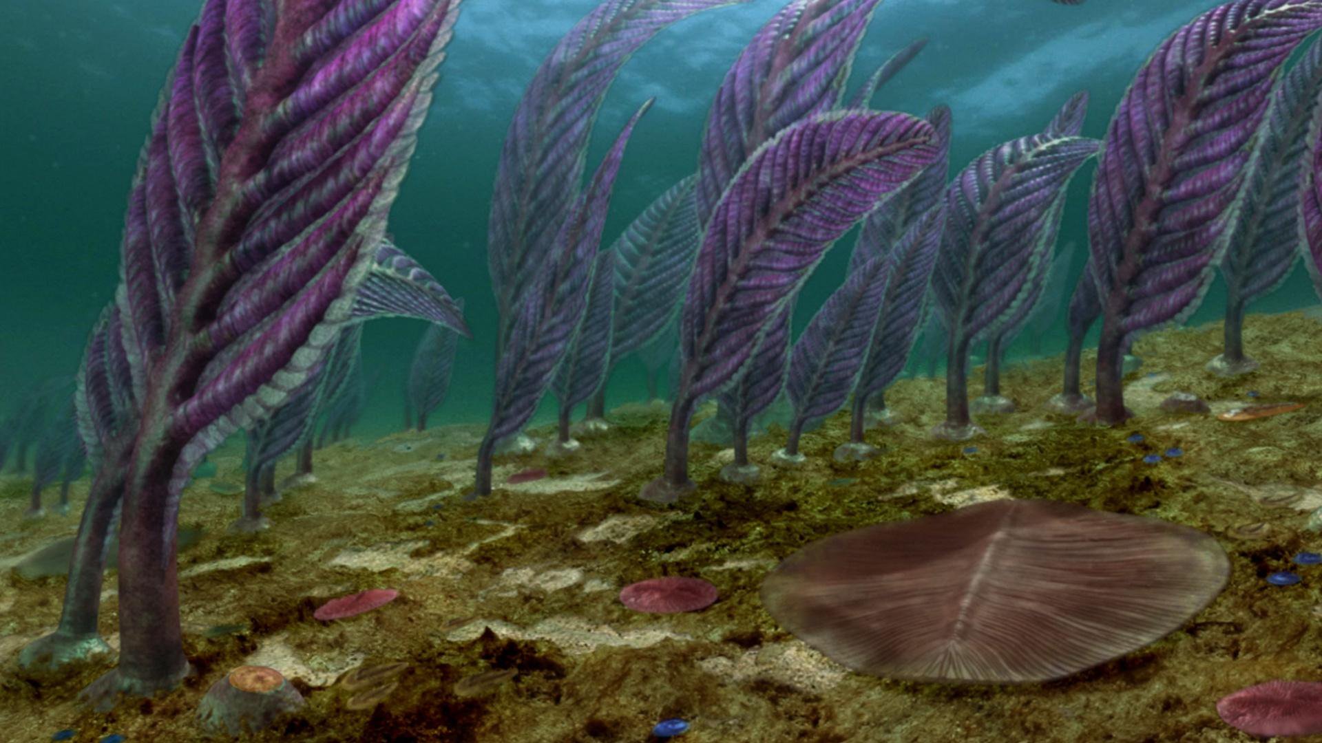 Beyond the Elements | NOVA | PBS