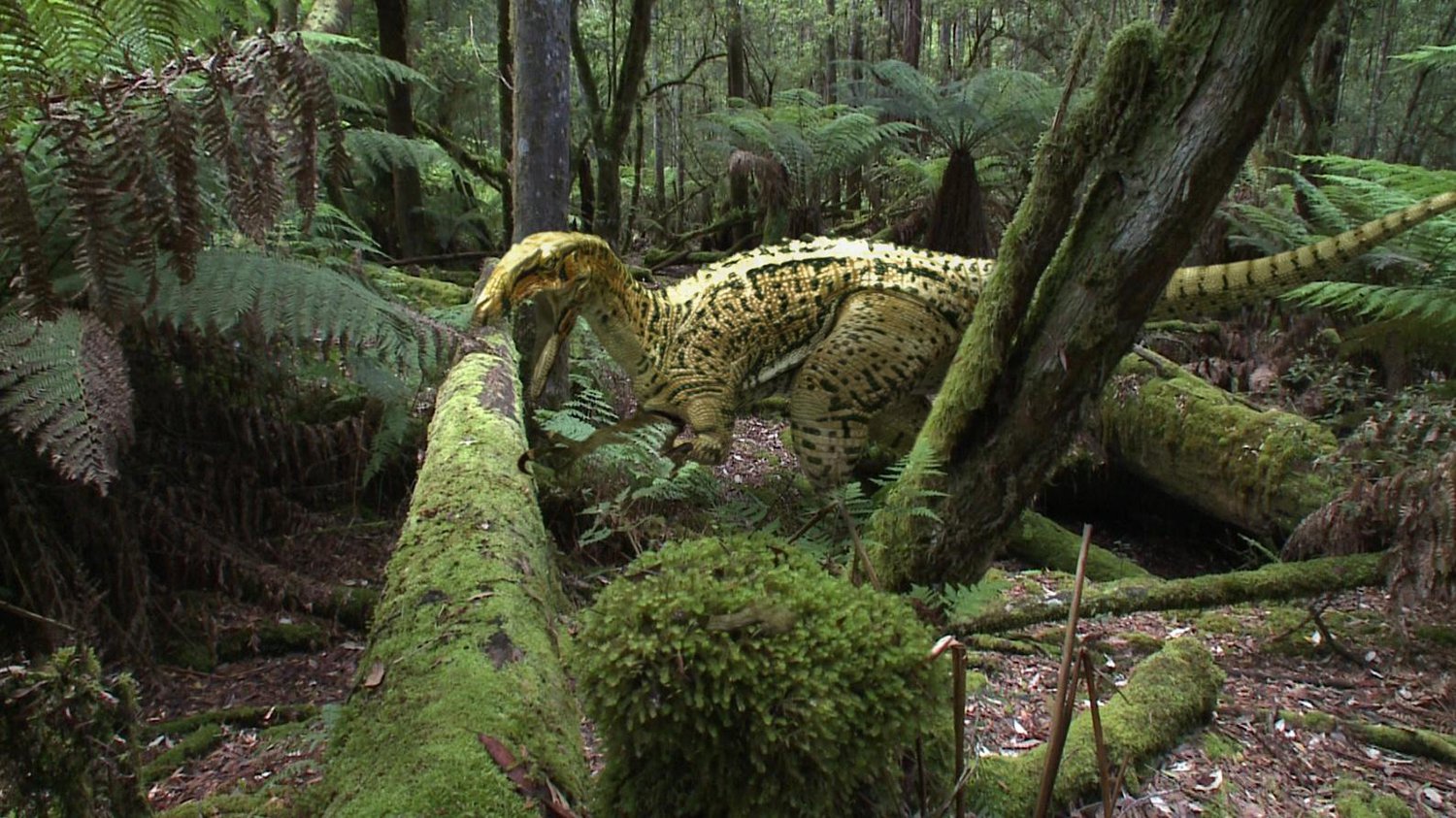 Meet "Titanosaur," the Largest Dinosaur Ever | NOVA | PBS