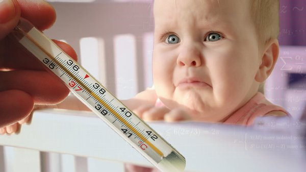 Placenta: The Incredible Organ You Make During Pregnancy | NOVA | PBS