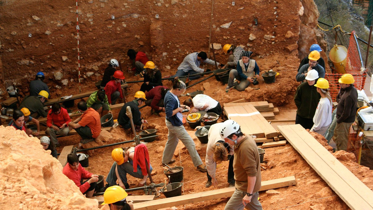 Becoming Human | NOVA | PBS