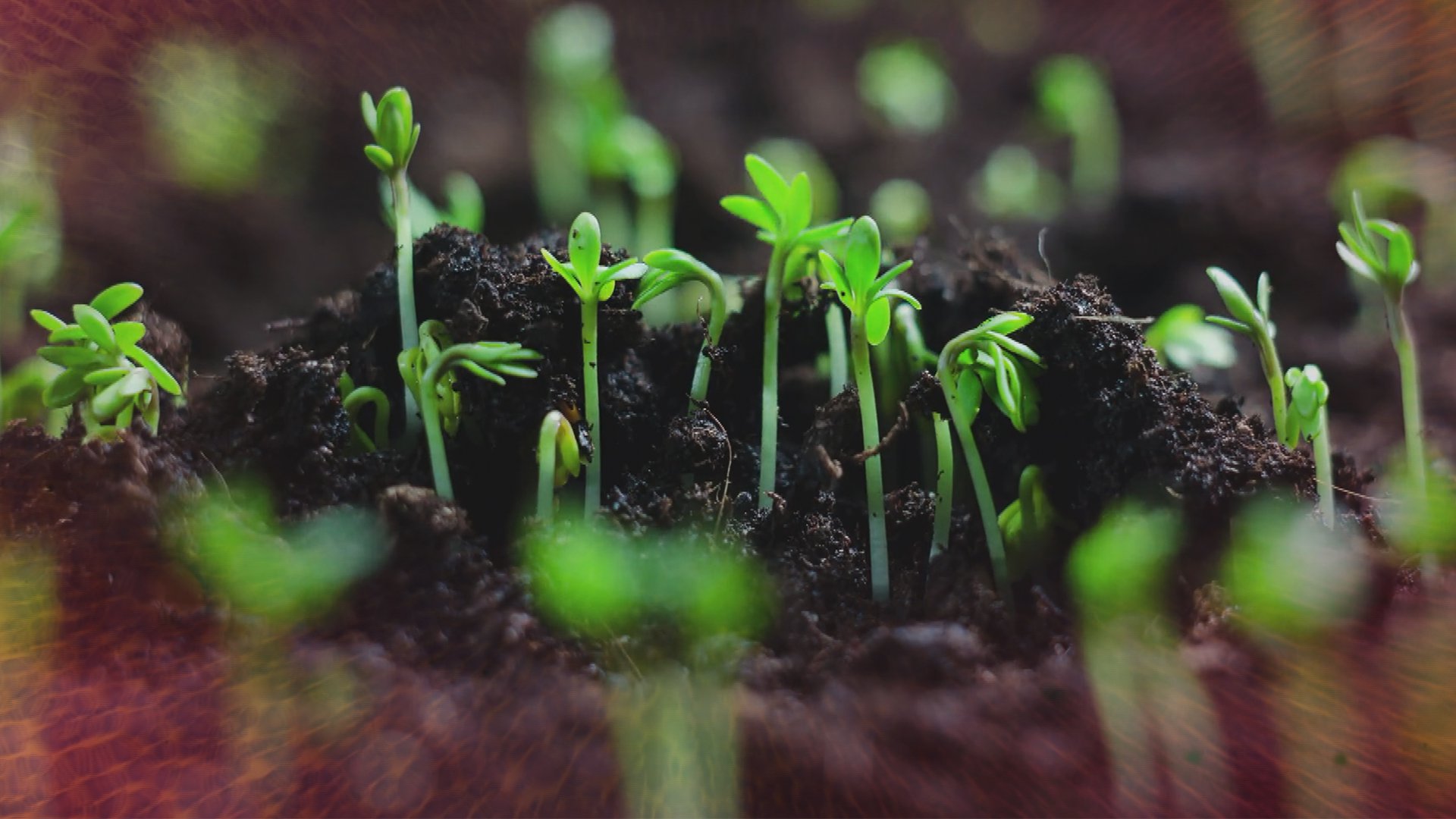 Schedule | NOVA | PBS