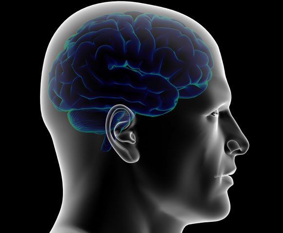The Future of Brain Transplants | NOVA | PBS
