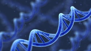 Cracking the Code of Life | NOVA | PBS