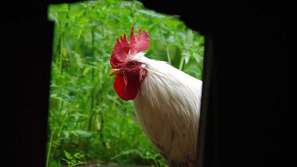 Human Nature | NOVA | PBS