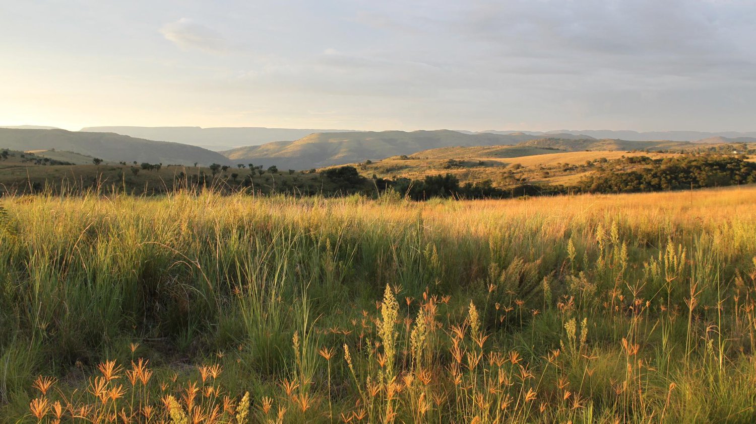 Becoming Human | NOVA | PBS