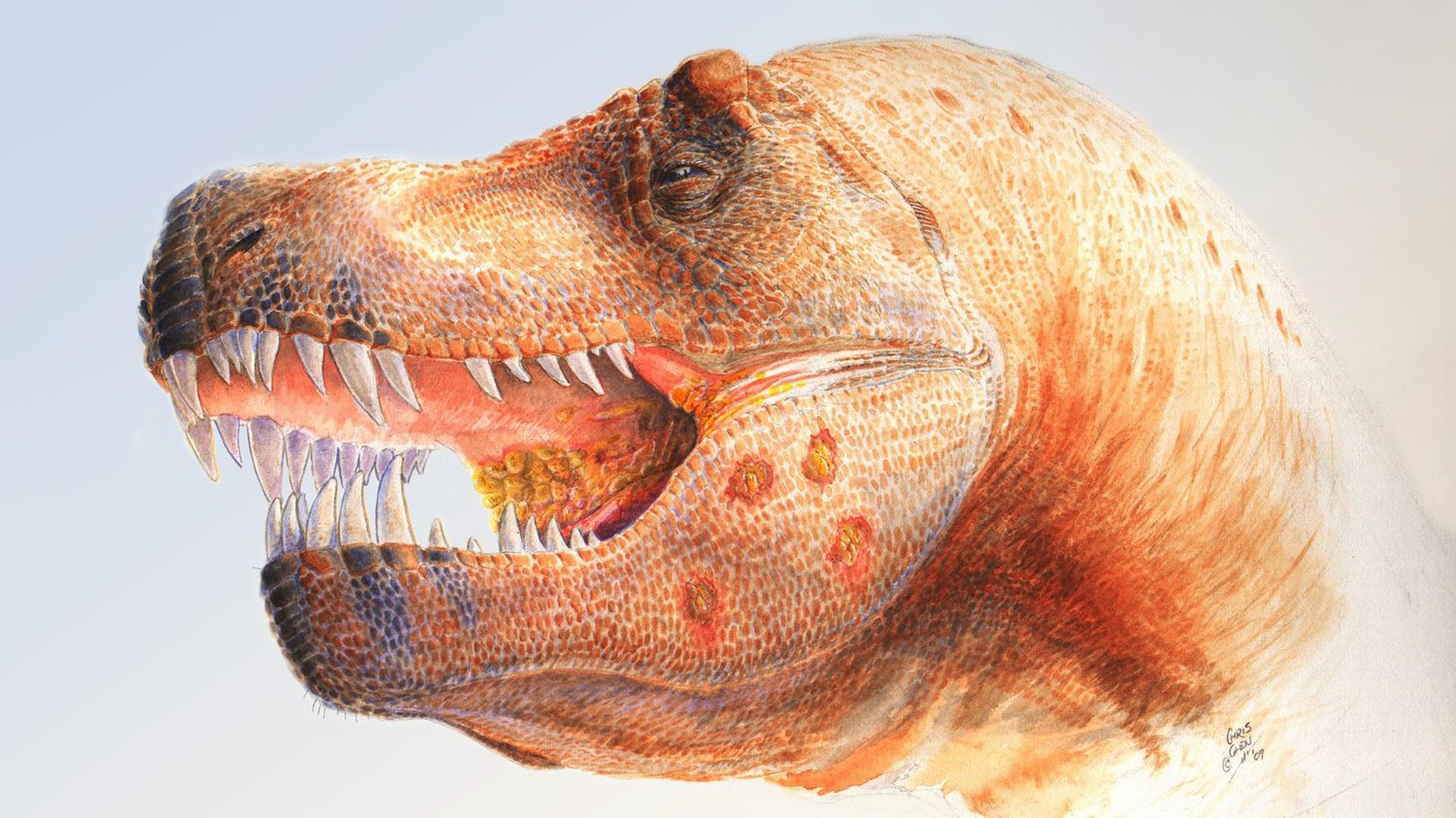 Alaskan Dinosaurs | NOVA | PBS