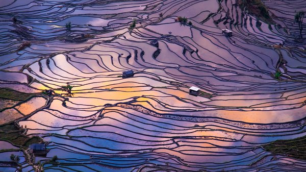 H2O: The Molecule That Made Us: Crisis | NOVA | PBS