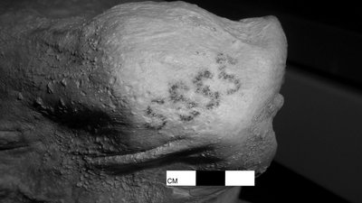 Ice Mummies of the Inca | NOVA | PBS