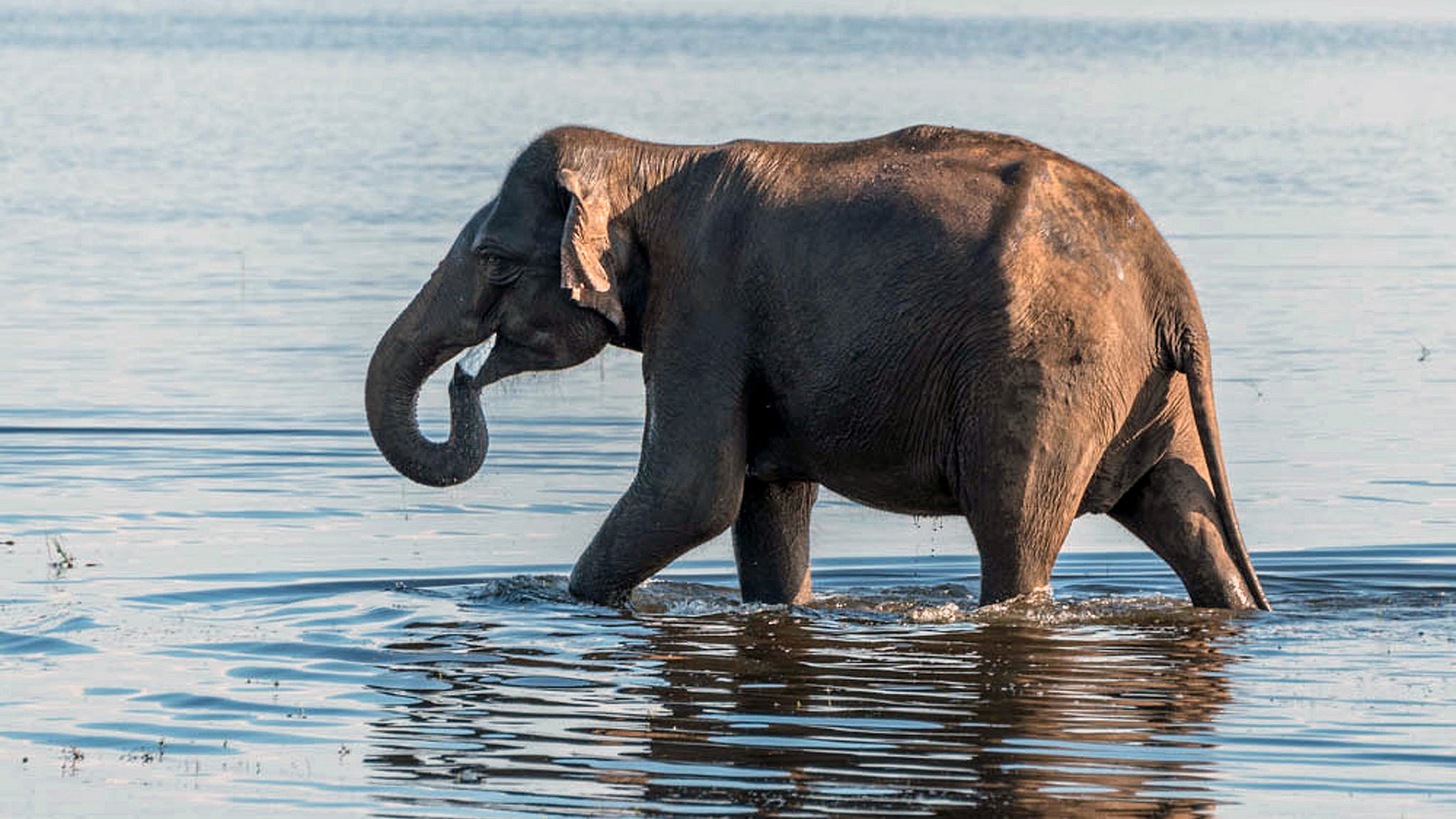 Cool down with the slick science of sweat | NOVA | PBS