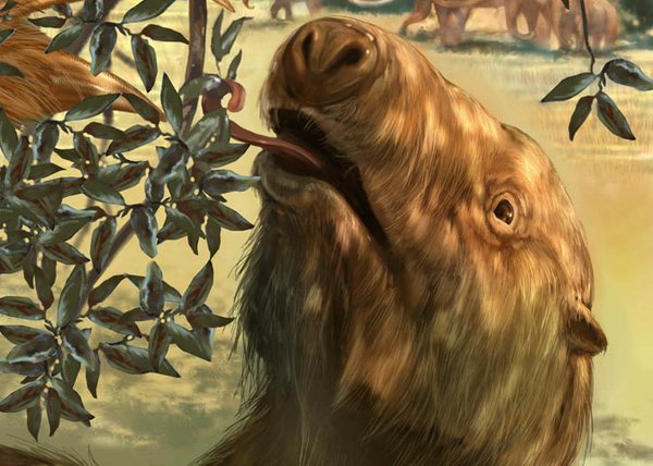 Extinct Animals In The Last 100000 Years