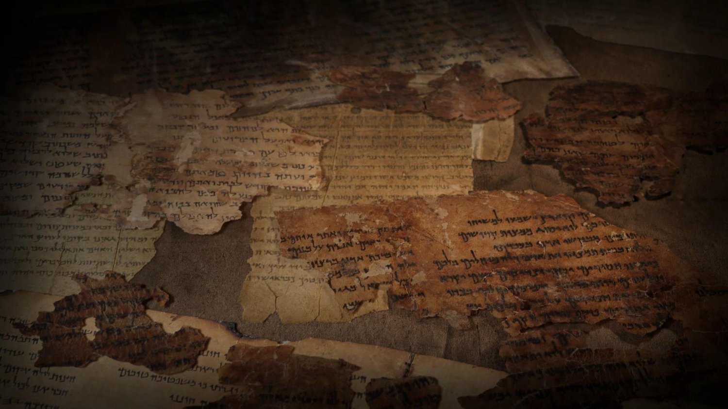 How Medieval Parchment is Made | NOVA | PBS