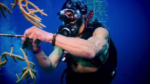 Ocean Invaders | NOVA | PBS