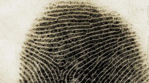 There will be blood, and physics, too: The messy science of bloodstain ...