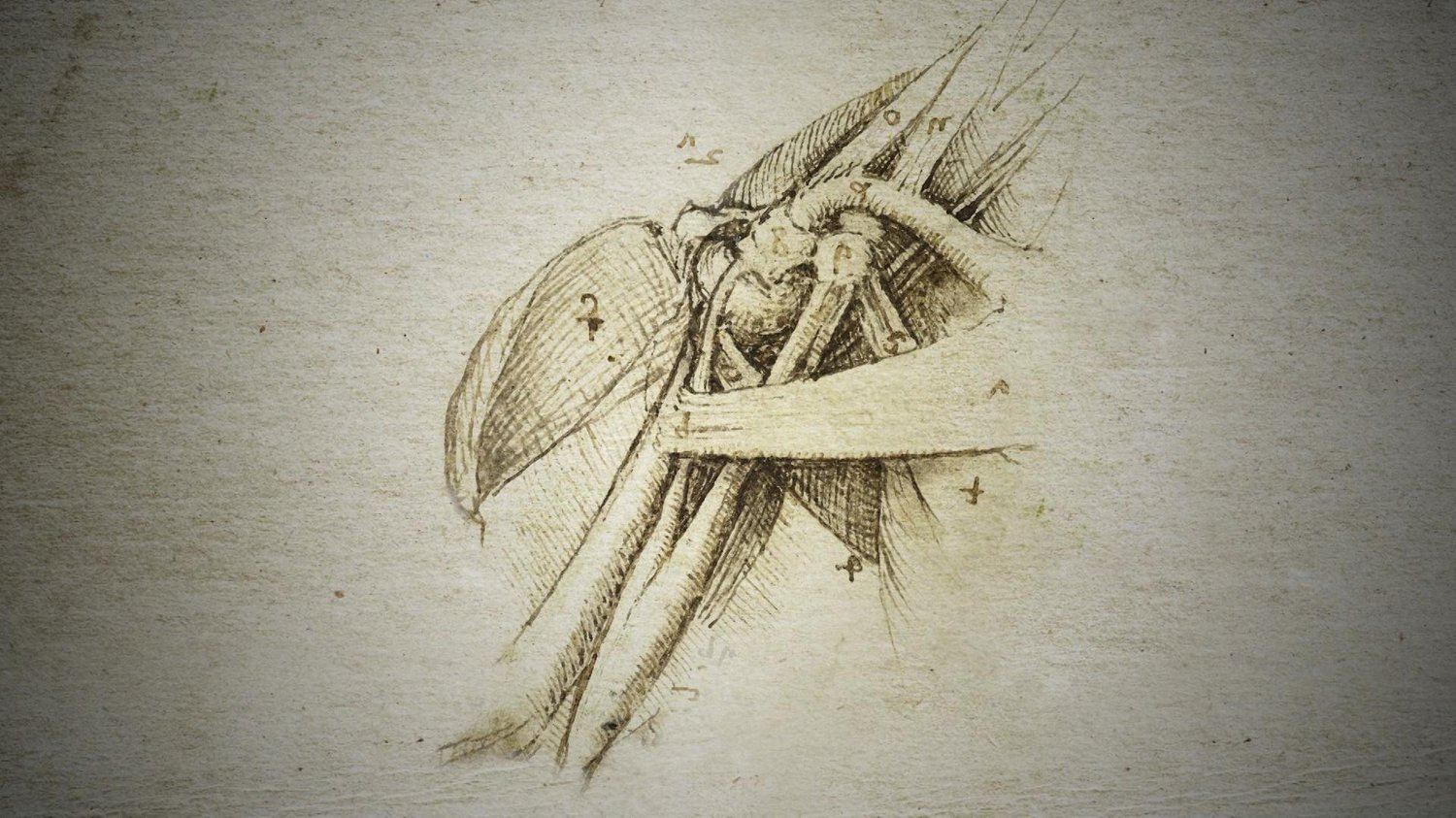 Decoding da Vinci | NOVA | PBS