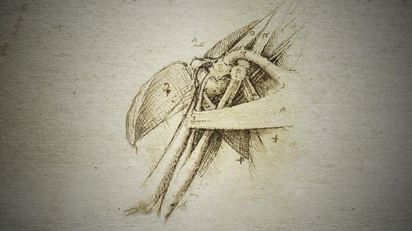 Decoding da Vinci | NOVA | PBS