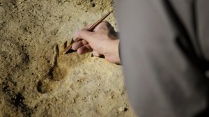 Ice Age Footprints | NOVA | PBS