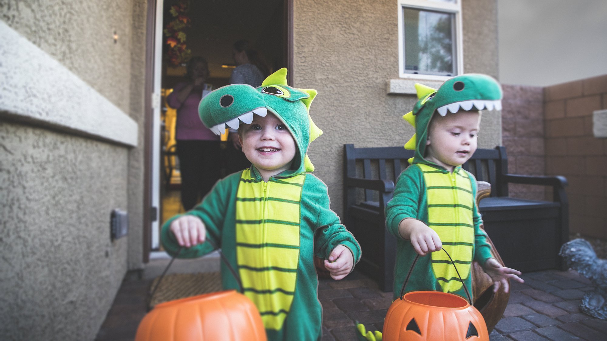 NOVA Wonders | NOVA | PBS