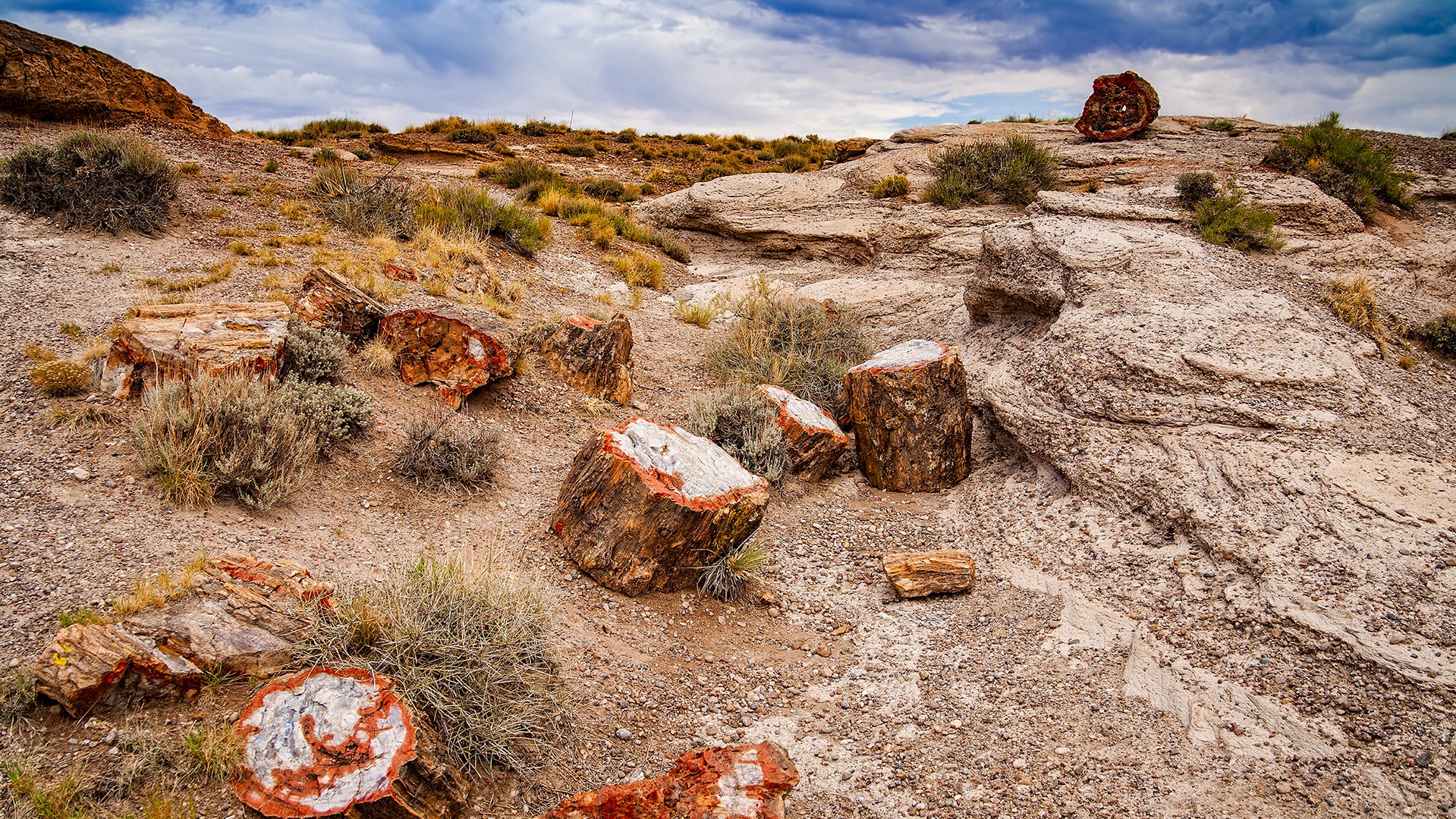Human activity has been affecting drought patterns since 1900 | NOVA ...