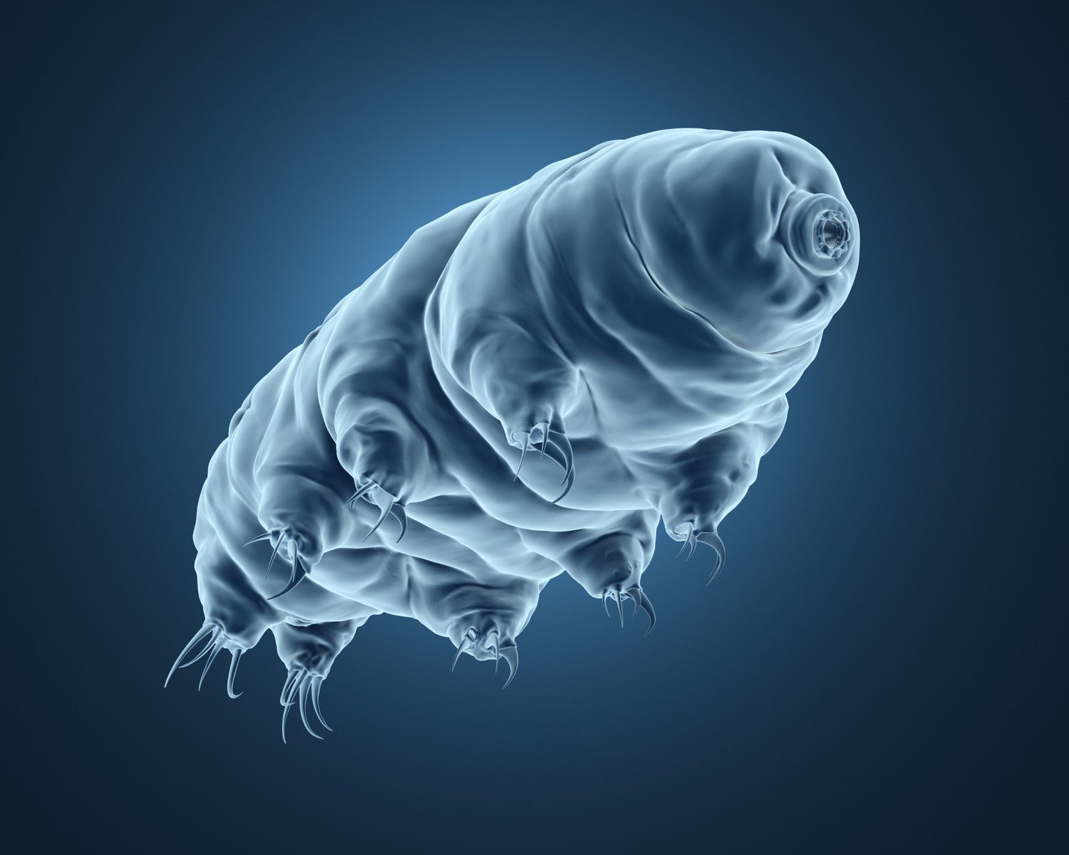 Tardigrades Conquered Space. Now, they Could Save the Global Vaccine ...
