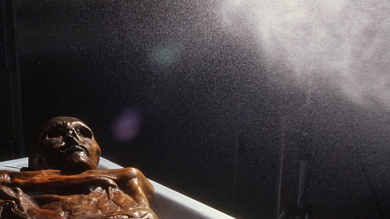 Who was Ötzi the Iceman? | NOVA | PBS
