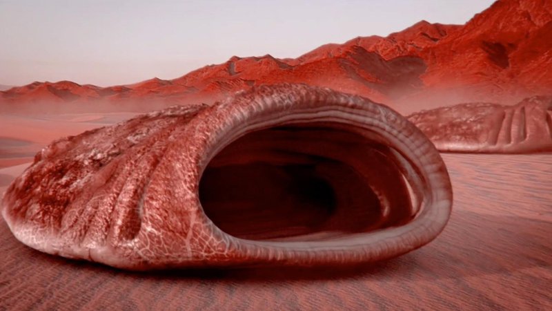 What Are UFOs? | NOVA | PBS