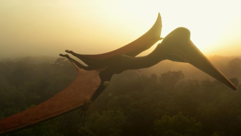 Dinosaur Apocalypse: The New Evidence | NOVA | PBS