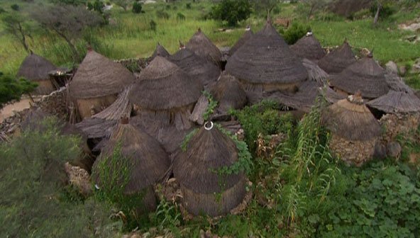 Jaglavak, Prince of Insects | NOVA | PBS