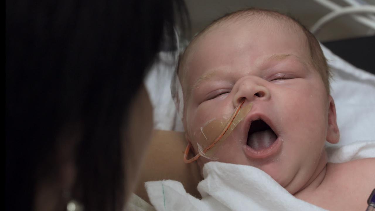 Science documentary series NOVA nominated for three Emmy Awards | NOVA ...