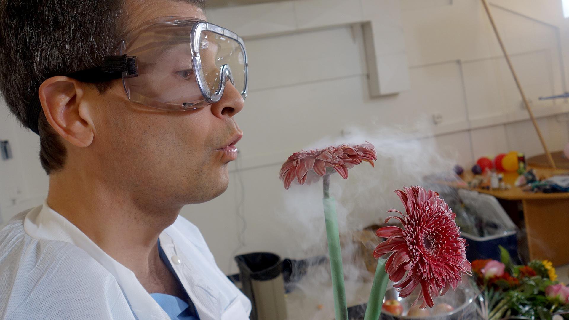 Making More Stuff | NOVA | PBS