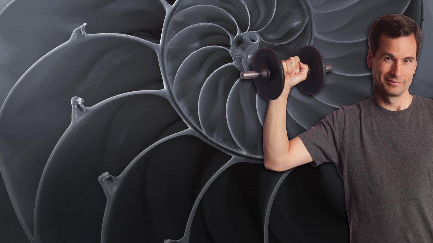 Hunting the Elements | NOVA | PBS