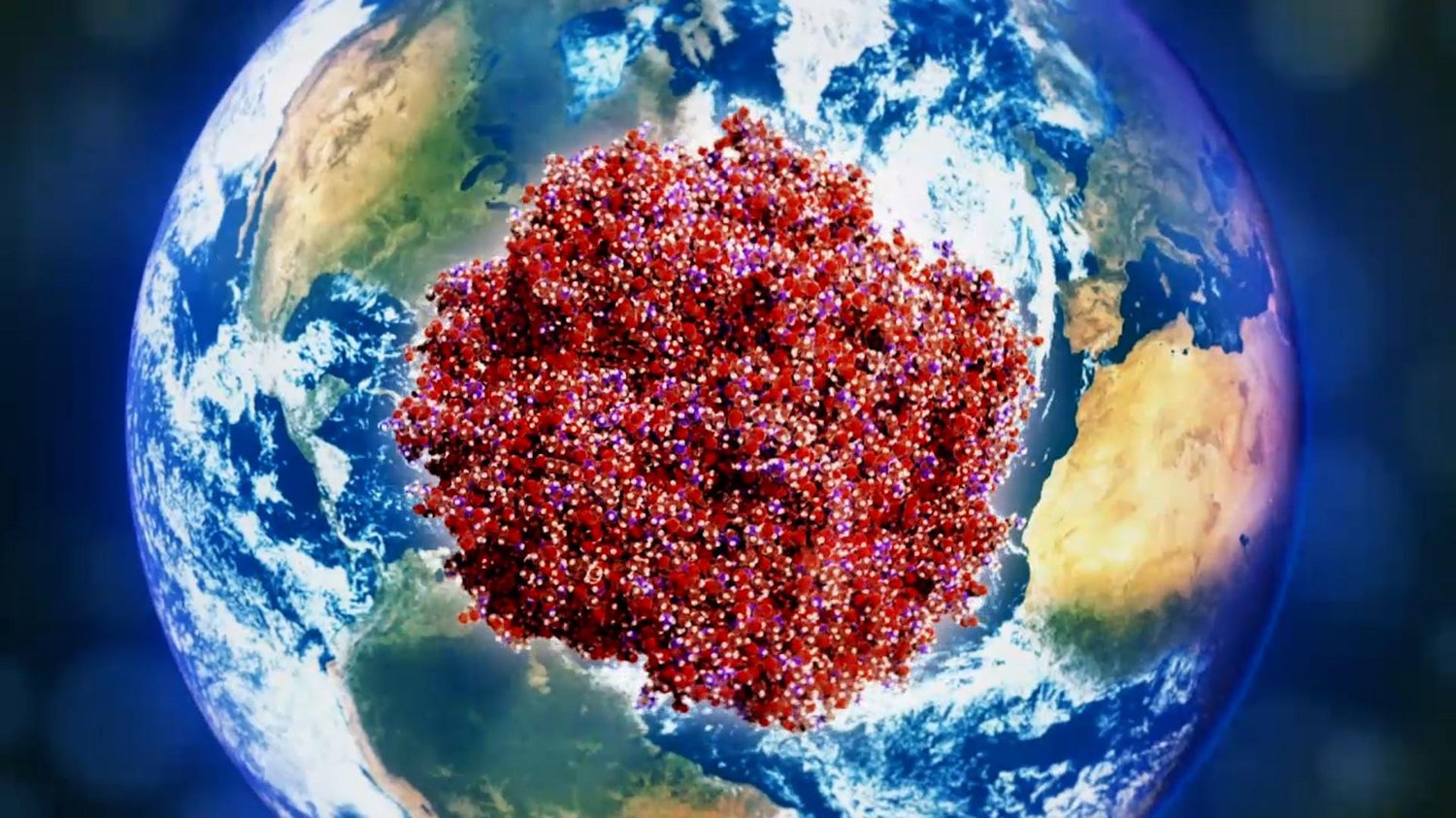 Illuminating Photosynthesis | NOVA | PBS