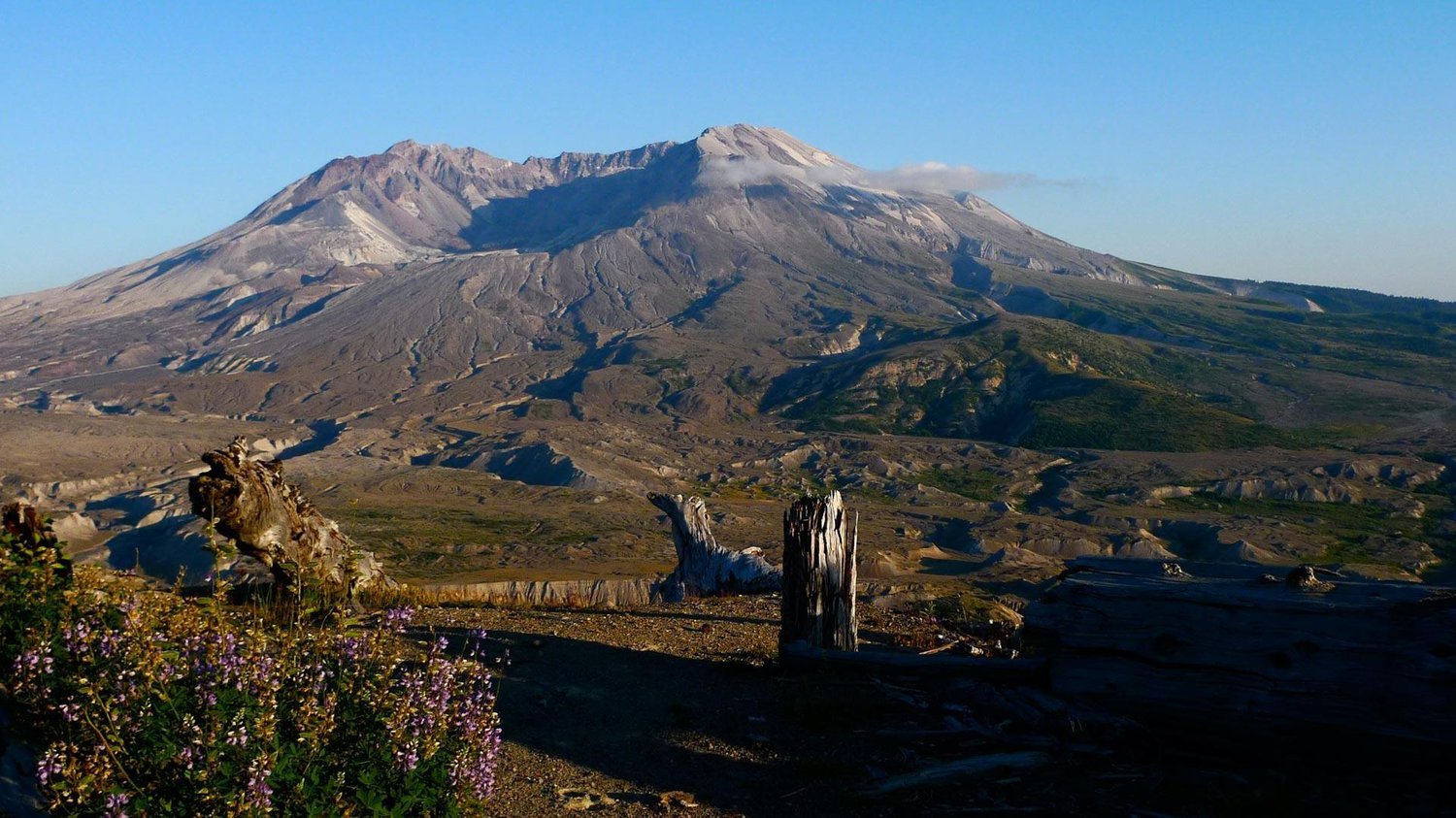 Mt St Helens: Back From the Dead | NOVA | PBS