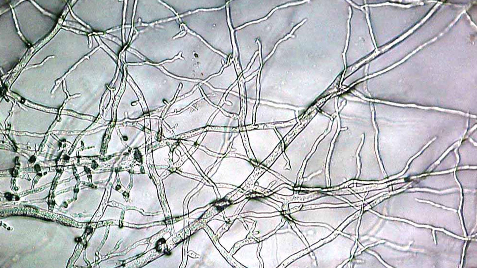 Making More Stuff | NOVA | PBS